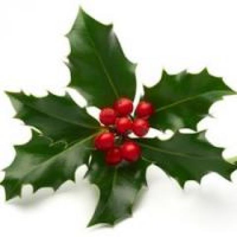 The Twelve Days of Testing | TechWell